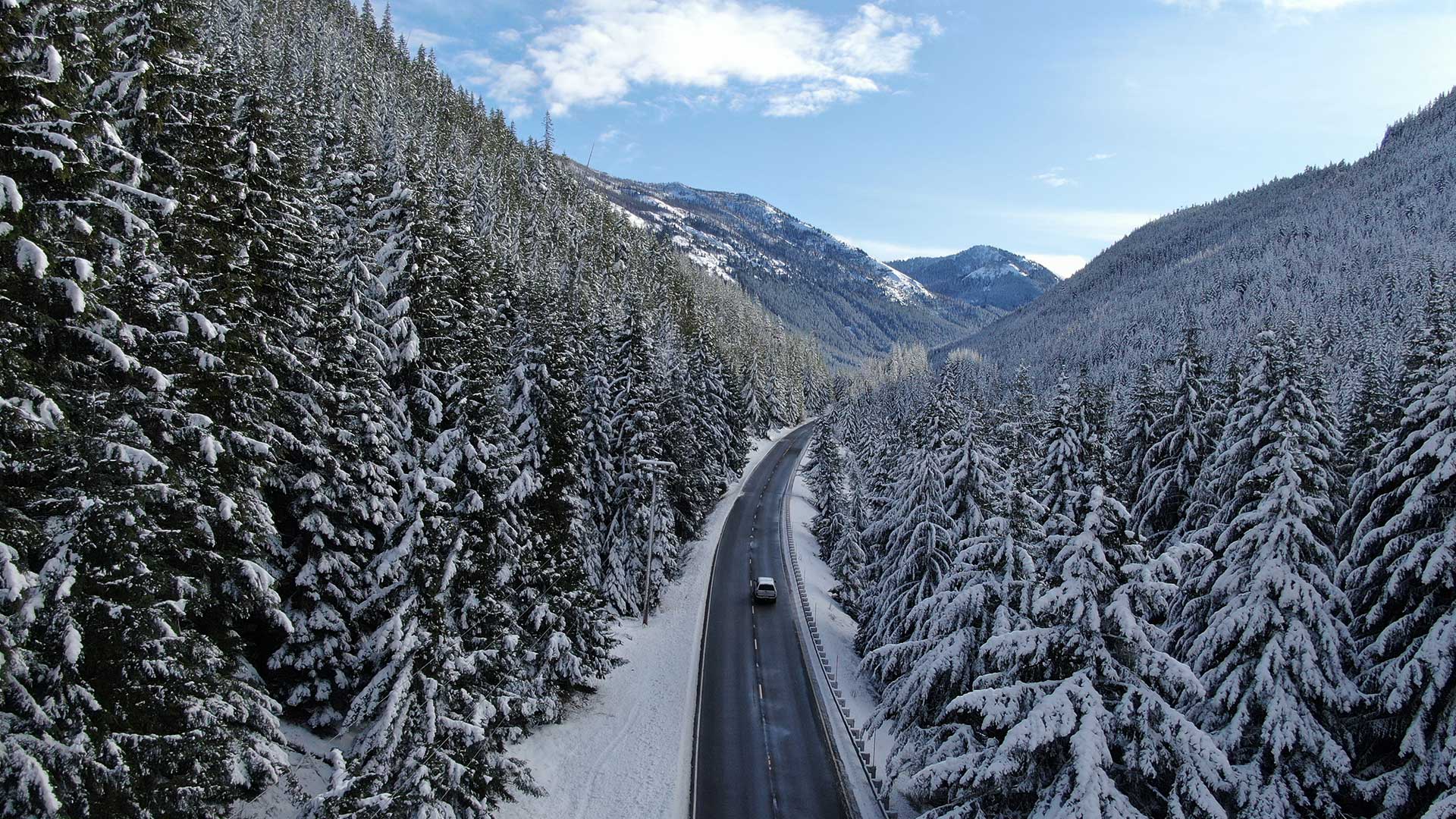 Parking and Shuttle Information