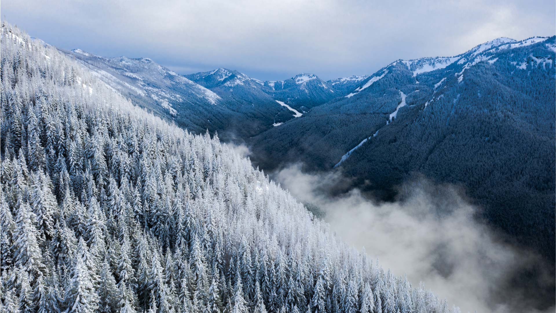 Activities | Crystal Mountain